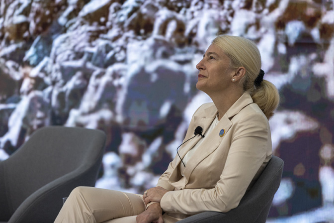 Никола Варагић: Ко је заиста Јелена Беговић и шта је њен задатак ...